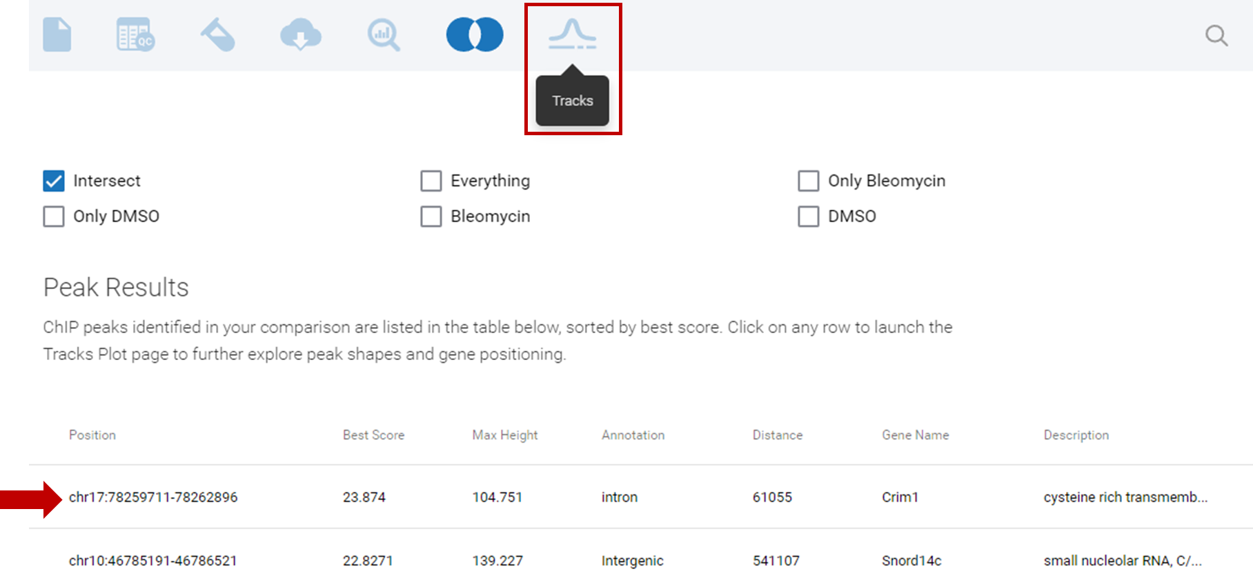 Interpret and Navigate ChIP-Seq Tracks