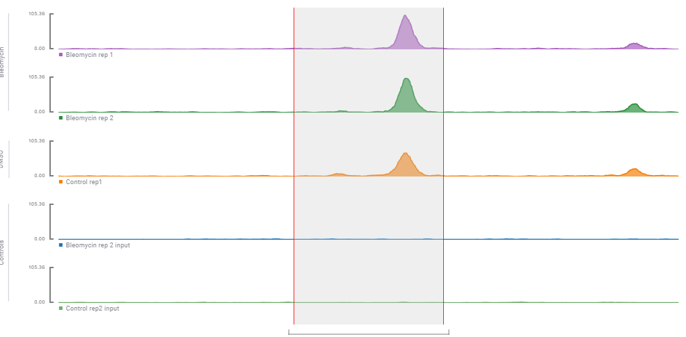 Interpret and Navigate ChIP-Seq Tracks